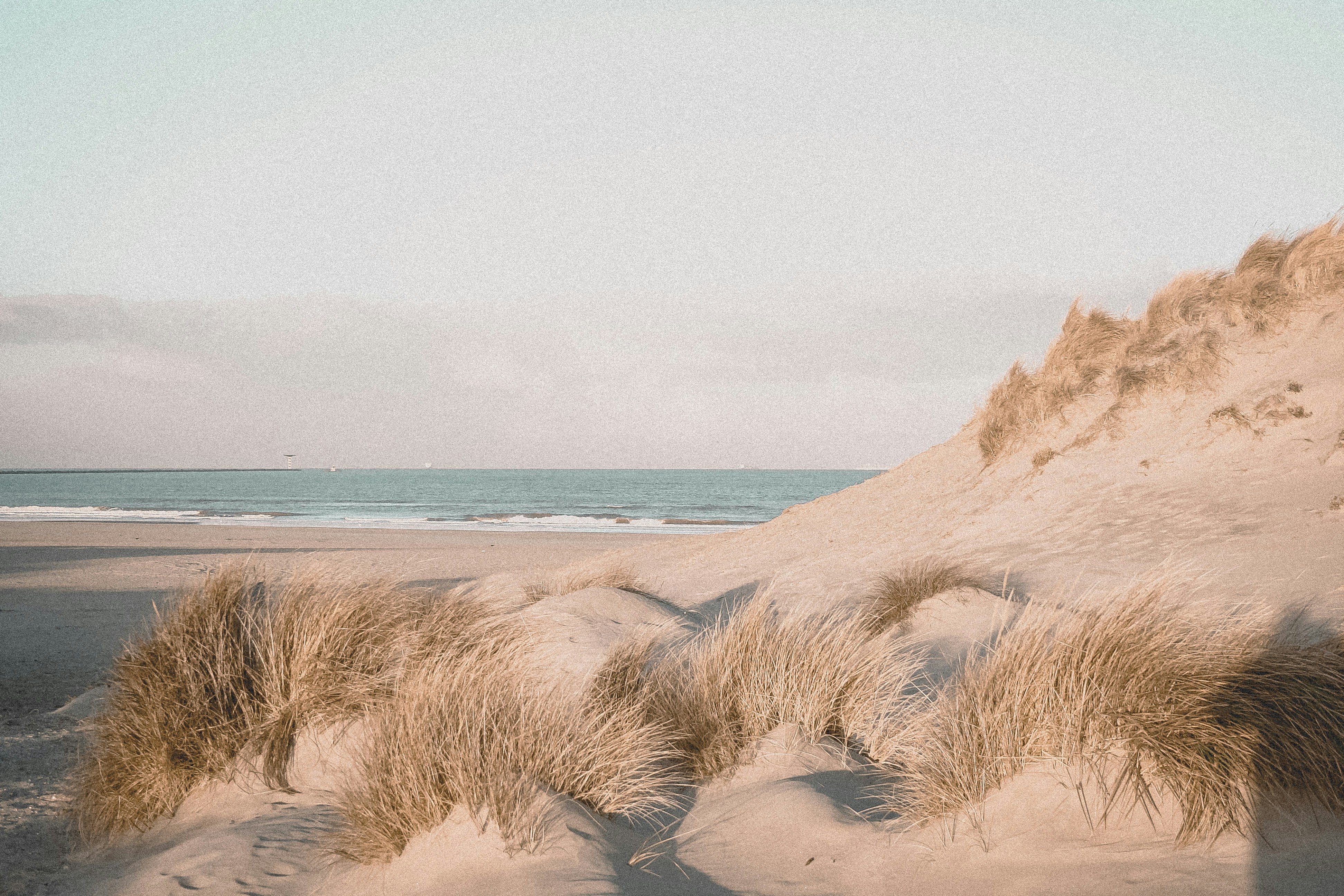 ABOUT │ - ful. – -ful.